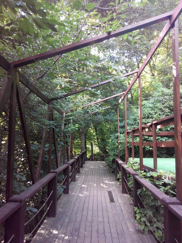 Три прогулочных маршрута по Киеву от "Секретного дворика" – bit.ua ...