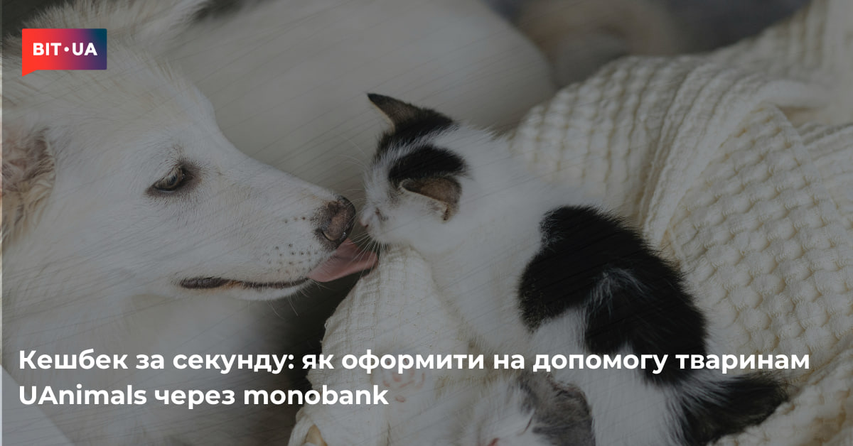 Як оформити на допомогу тваринам UAnimals через monobank – bit.ua